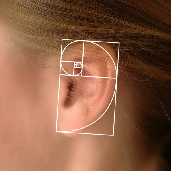 Inside The Golden Ratio Randy Lewis Creative Inside The Golden Ratio Randy Lewis Creative